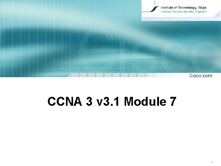 CCNA 3 v 3 1 Module 7 1