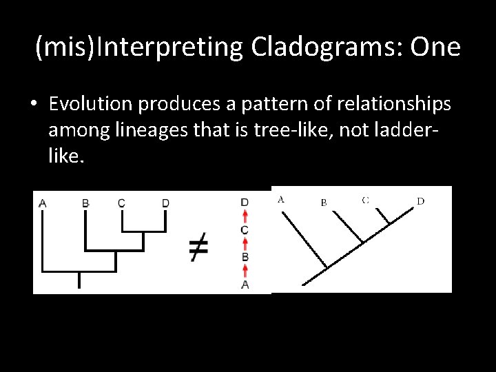 Mechanisms of Evolution How does evolution work What
