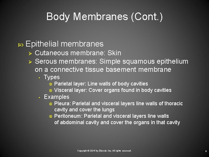 Skin and Membranes Chapter 6 Copyright 2016 by
