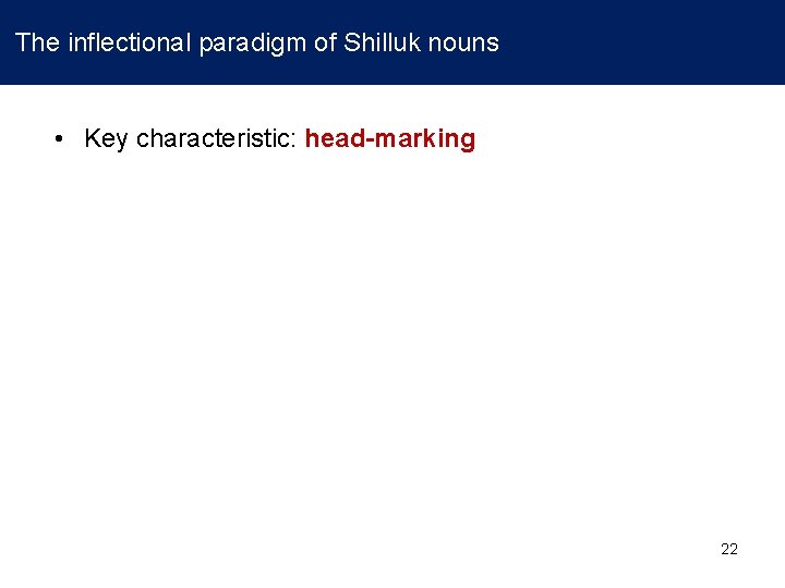 Shilluk noun morphology and noun phrase morphosyntax Bert