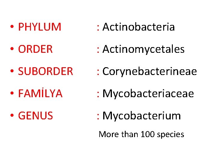 MYCOBACTERIUM INFECTIONS PHYLUM Actinobacteria ORDER Actinomycetales ...