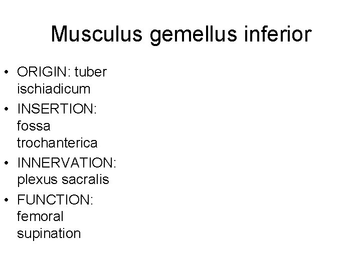 Muscles of the lower limb Mm coxae Musculus