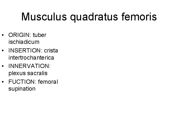 Muscles of the lower limb Mm coxae Musculus