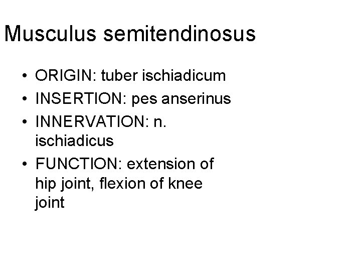 Muscles of the lower limb Mm coxae Musculus