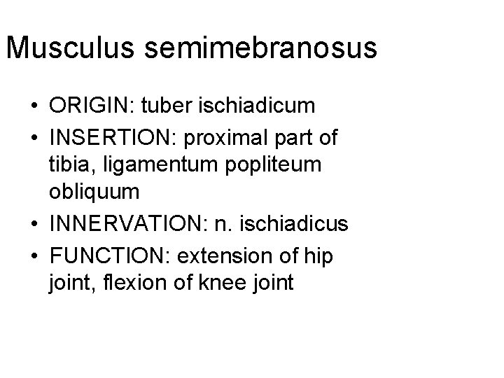 Muscles of the lower limb Mm coxae Musculus