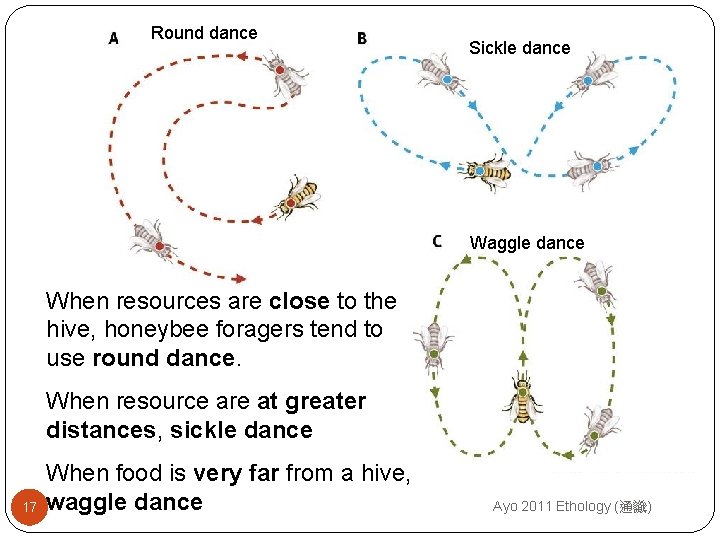 communication Introduction Communication Defined as the transfer of