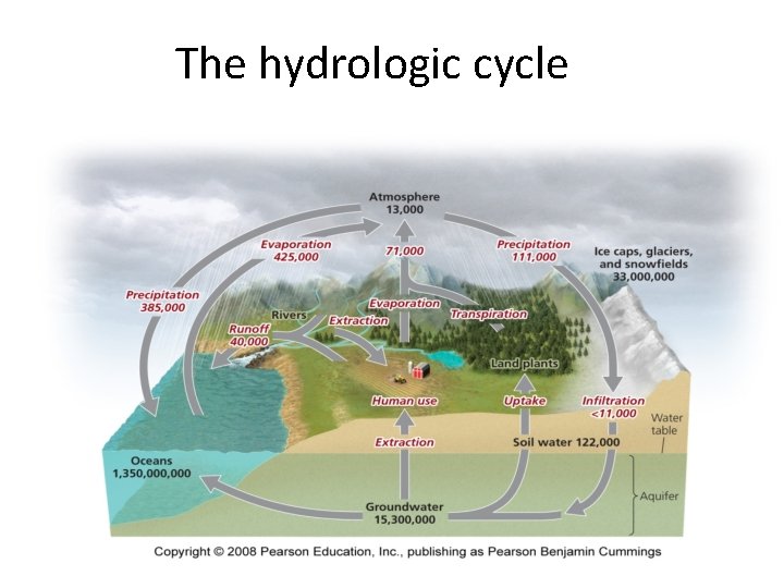 Biogeochemical Cycles Nutrients circulate through ecosystems Physical ...