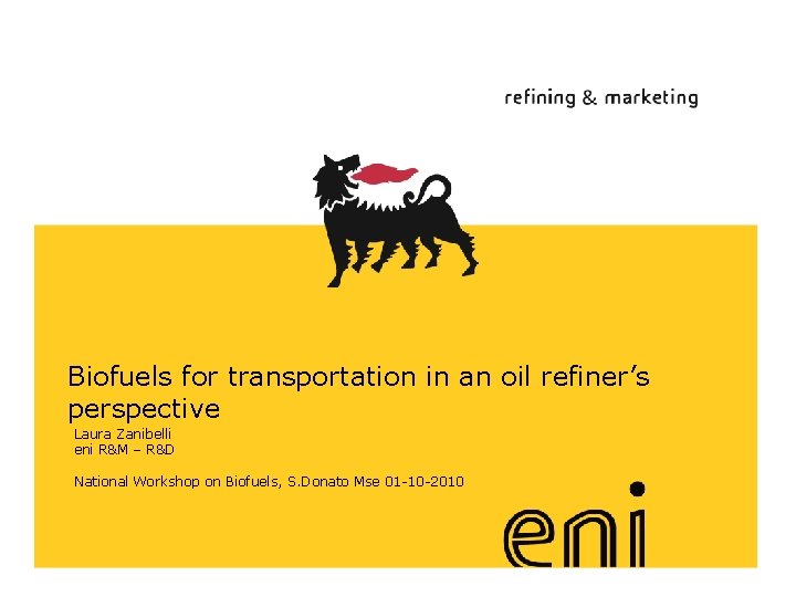 Biofuels for transportation in an oil refiners perspective