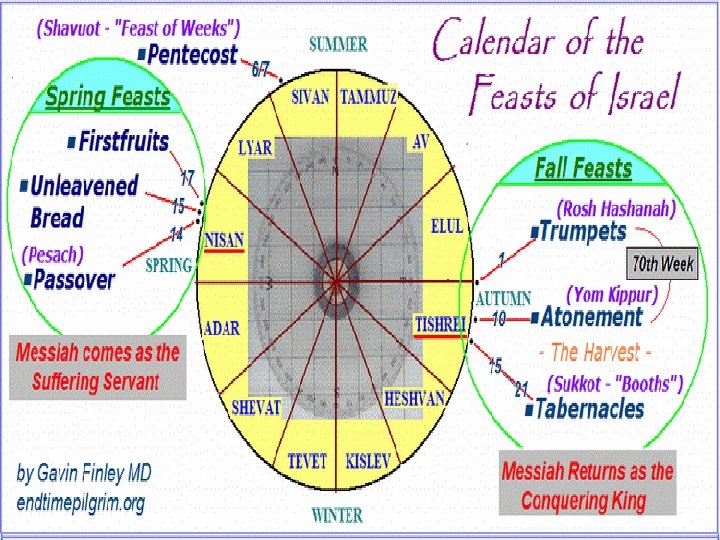 The Feast of First Fruits The Feasts of