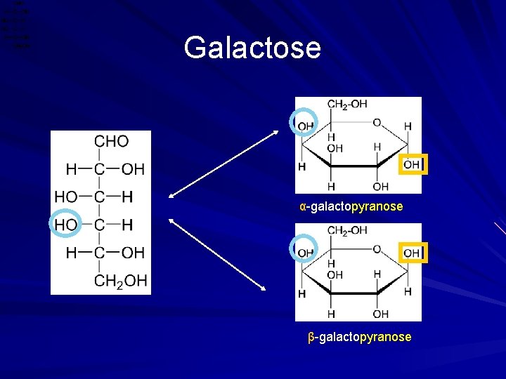 Medical Biochemistry Molecular Principles of Structural Organization of