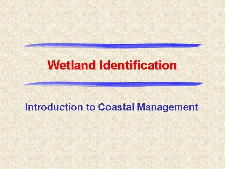 Wetland Identification Introduction to Coastal Management What is