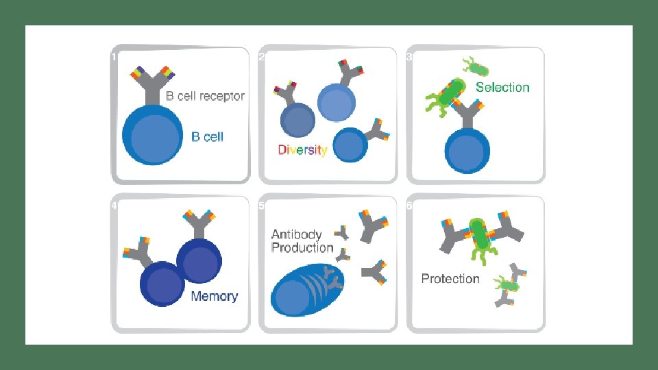 Factors Affecting the Immune System Traditional Knowledge Home