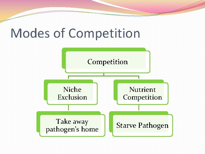 Biological Control Competitive Exclusion December 5 2008 Outline