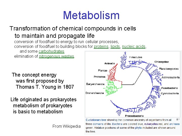 Alternative approaches to modelling metabolism Bas Kooijmanvu nl