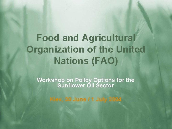 Food and Agricultural Organization of the United Nations