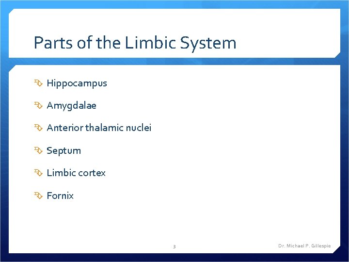 Dr Michael P Gillespie Neuroscience Limbic System Limbic