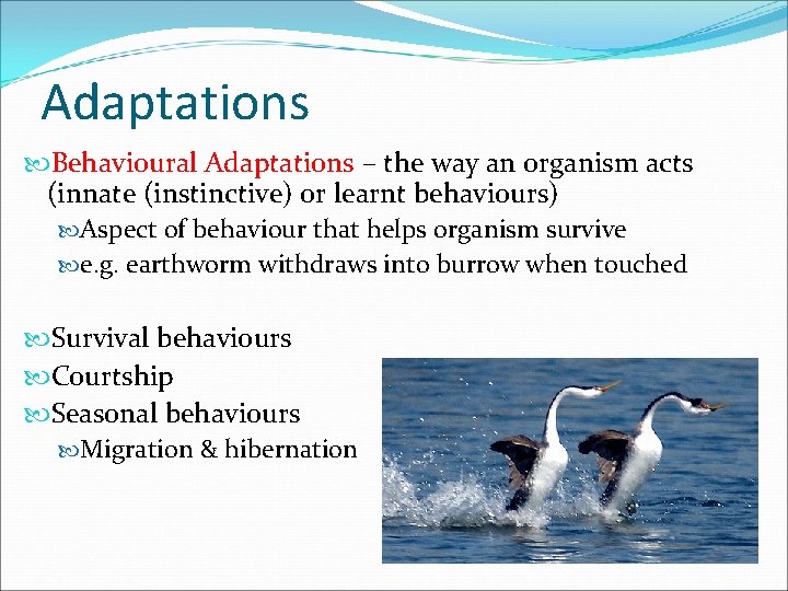 Adaptations Learning Objectives To understand the how living