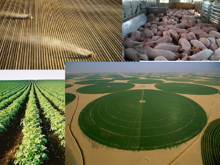 Peter Verburg Julia Strck Multifunctional land use Tradeoffs