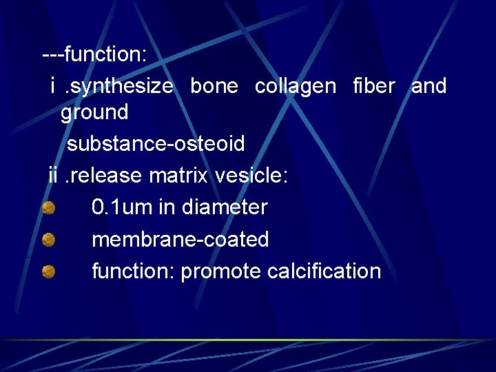 Cartilage and Bone 1 Cartilage organCartilage tissueperichondrium 1