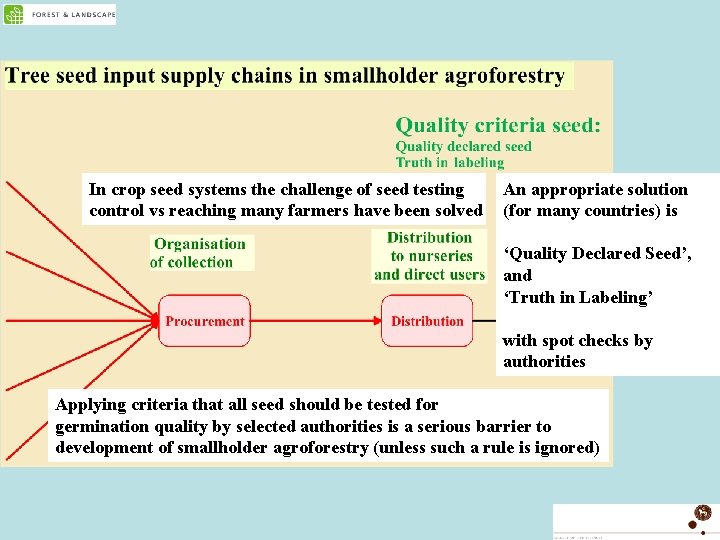 Using subsector analysis for improving tree seed systems