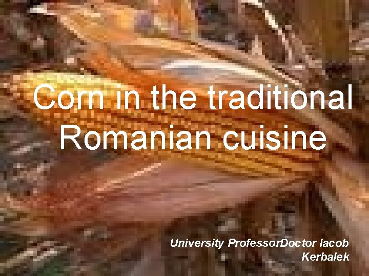 Corn in the traditional Romanian cuisine University Professor