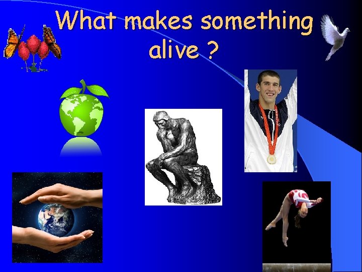 What makes something alive What are living things