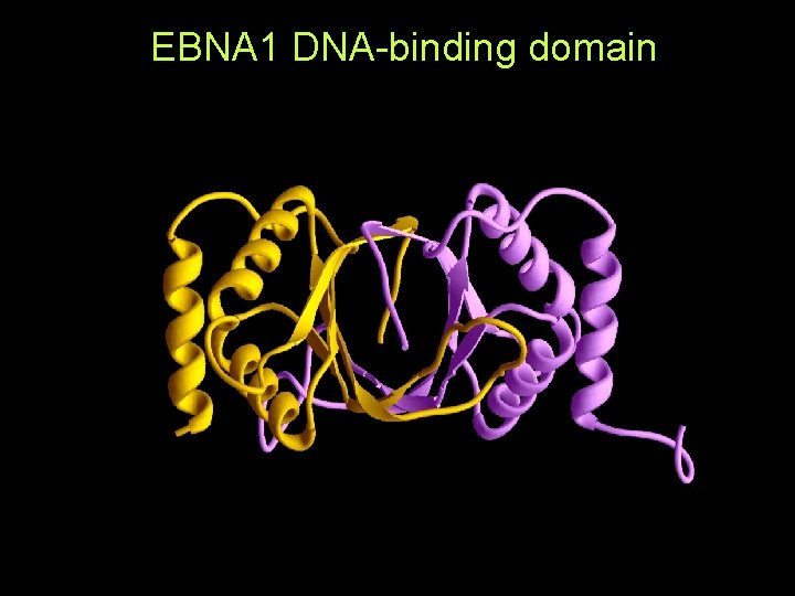 Practical tips for cloning expressing and purifying proteins