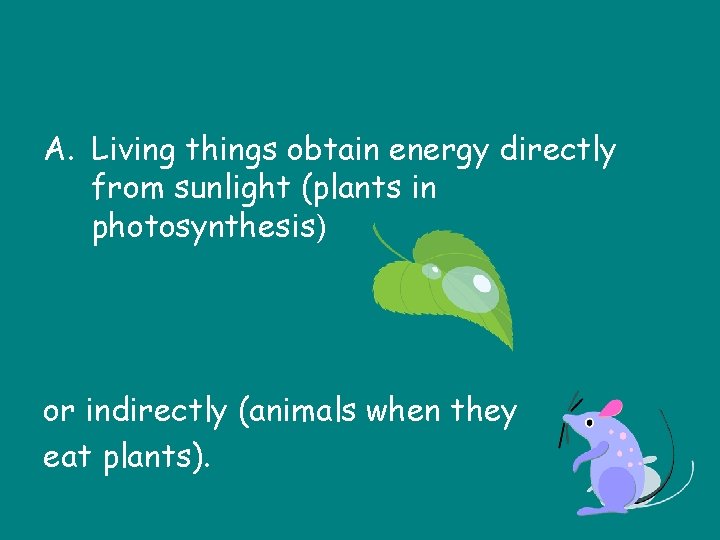 Photosynthesis Section 4 1 I Photosynthesis the process