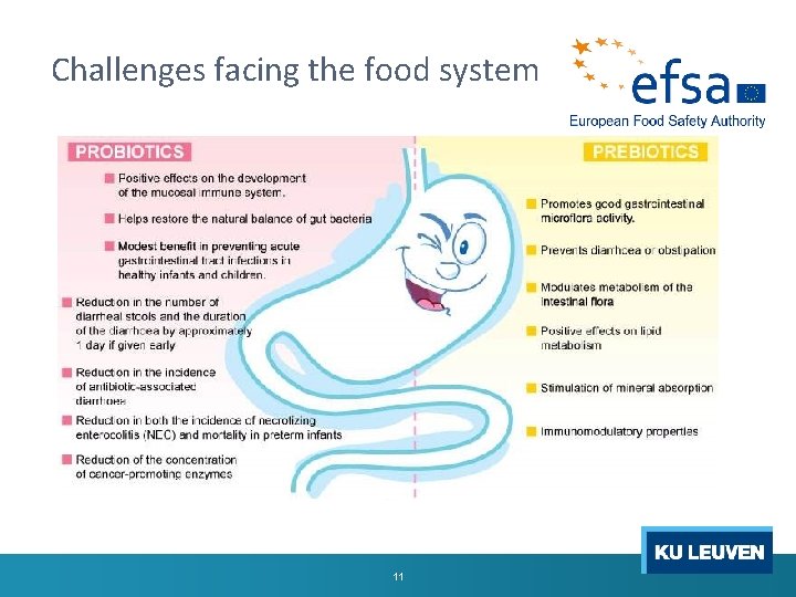 Challenges Facing the Food System Jan Delcour Laboratorium