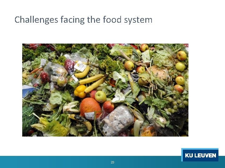 Challenges Facing the Food System Jan Delcour Laboratorium