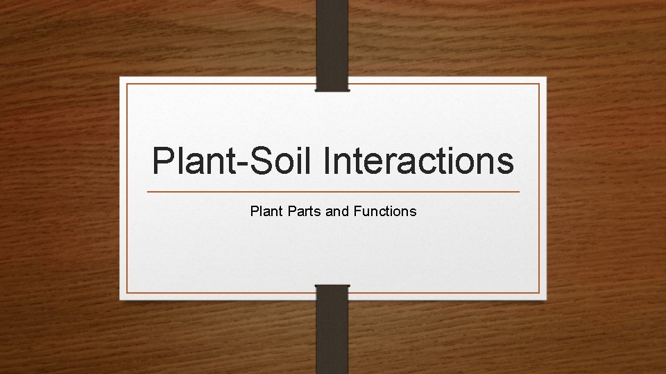 PlantSoil Interactions Plant Parts and Functions Roots Plants