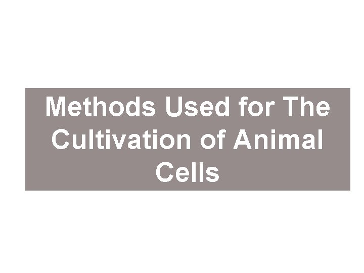 BIOCONVERSION TECHNOLOGIES OF ANIMAL CELL AND PLANT CULTURE