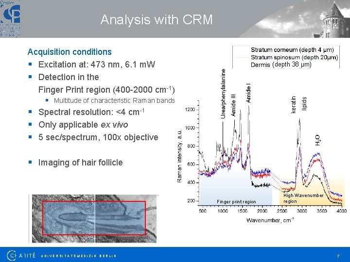 Confocal Raman imaging of skin containing hair follicles