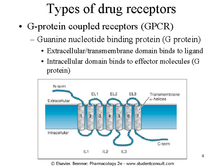 59 291 Section 1 Lecture 7 Pharmacodynamics Detailed