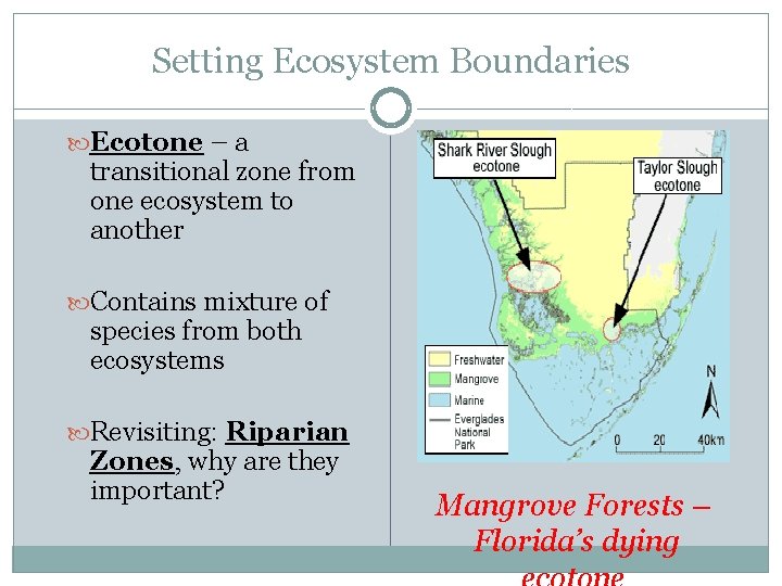 Warm Up 5 How can holding men more