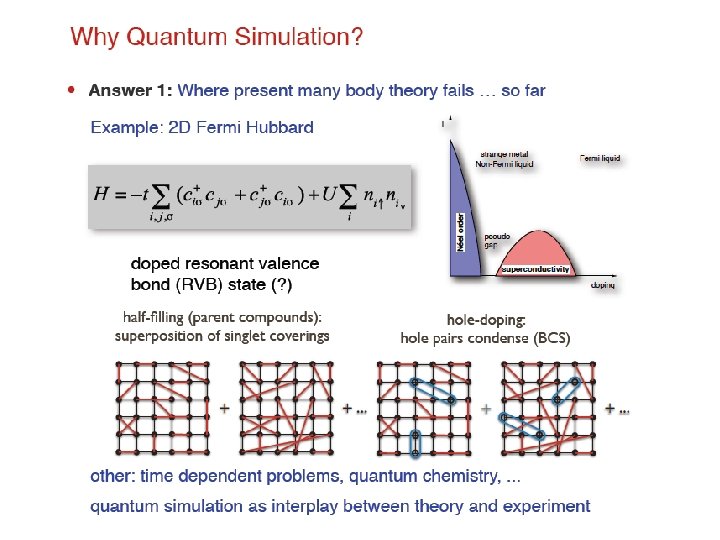 Quantum simulation for frustrated many body interaction models