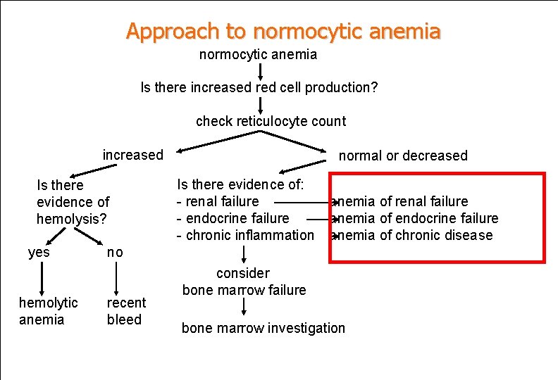 Anemia and CKD An Update Prevalence of ESRD