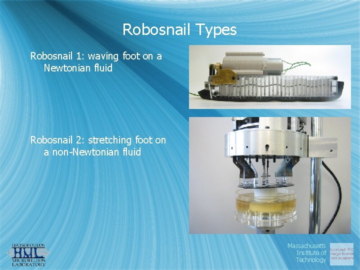 Robosnail SnailInspired Locomotion Brian Chan Hatsopoulos Microfluids ...