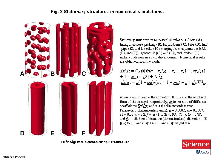 Reaction and Diffusion where R is the distance
