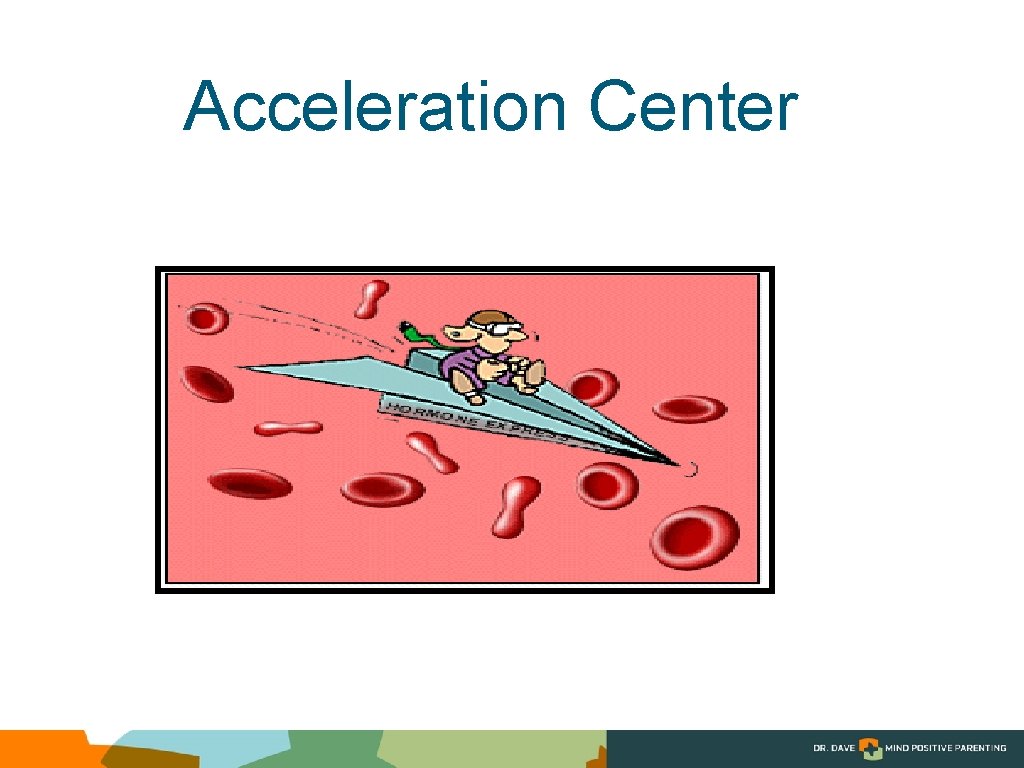 The Brain Goes to School David Walsh Ph