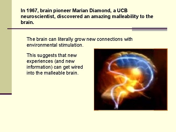 Whats all this buzz about the brain Neuroscience