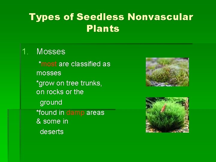 Characteristics of seedless nonvascular plant - museumdro