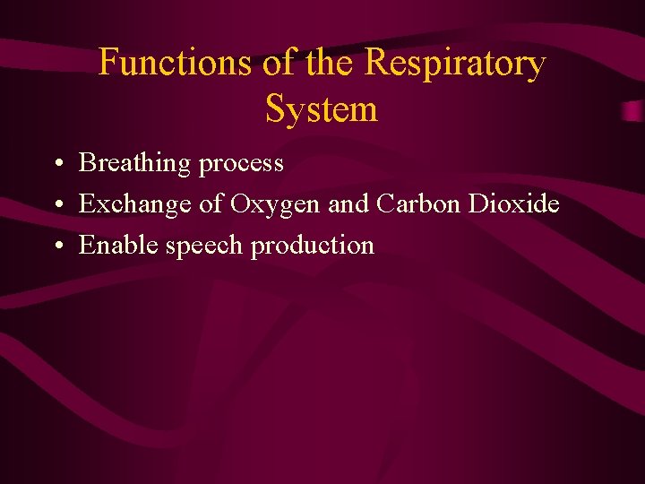 Respiratory System Chapter 8 Functions of the Respiratory