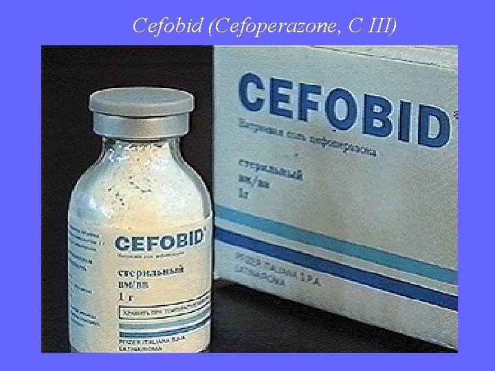 ANTIBIOTICS1 Bacteria Shapes a Round cocci b Rodlike