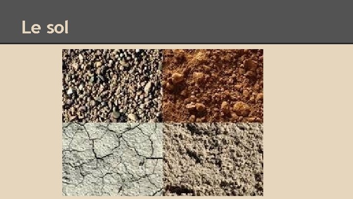 Chapitre 2 Lenvironnement et linteraction 2 1 Les