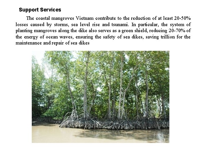 BIODIVERSITY CONSERVATION IN VIETNAM STATUS TRENDS AND THREATS