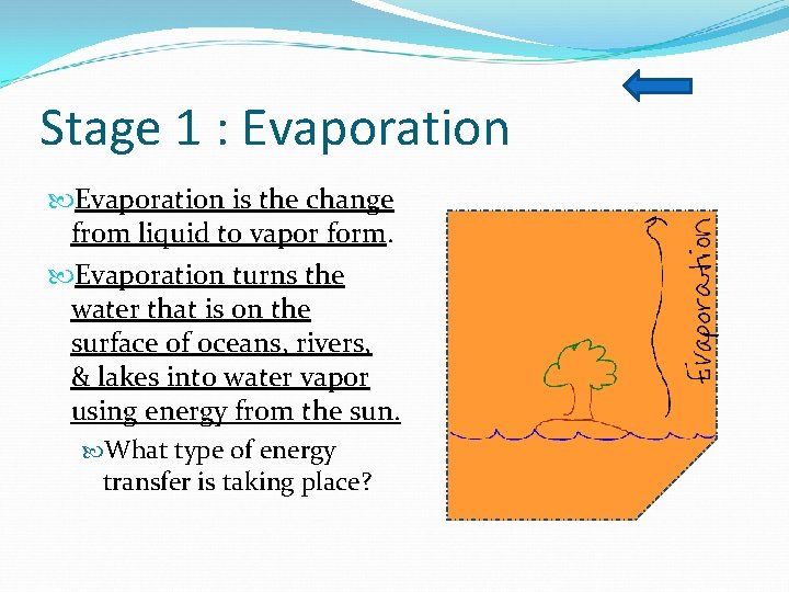 Water Cycle Are you really drinking the same