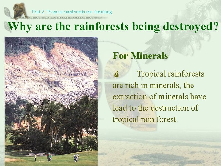 Unit 2 Tropical rainforests are shrinking Unit 2