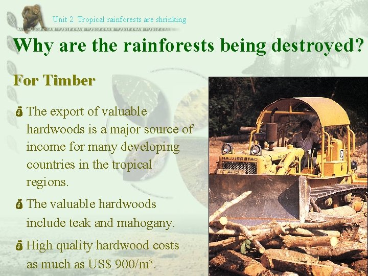 Unit 2 Tropical rainforests are shrinking Unit 2