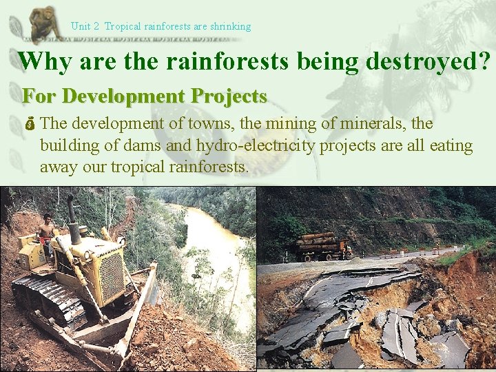 Unit 2 Tropical rainforests are shrinking Unit 2